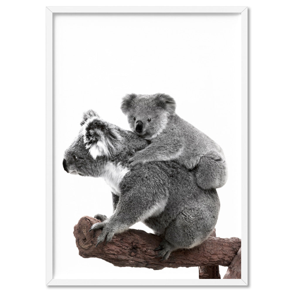 Koala Wall Art. Koala Bear Print Mother and Baby Poster – Print and Proper®
