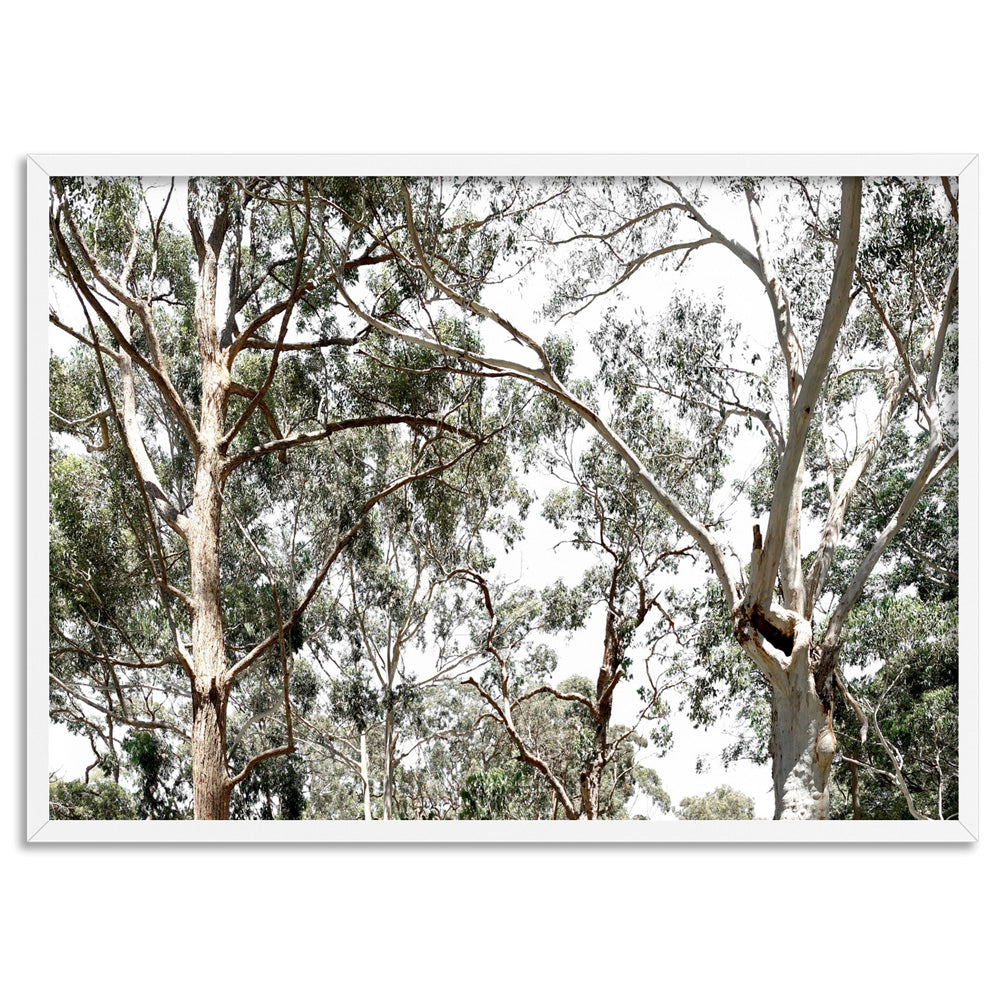 Gumtree Wall Art Print. Australian Gumtrees Landscape Poster – Print ...