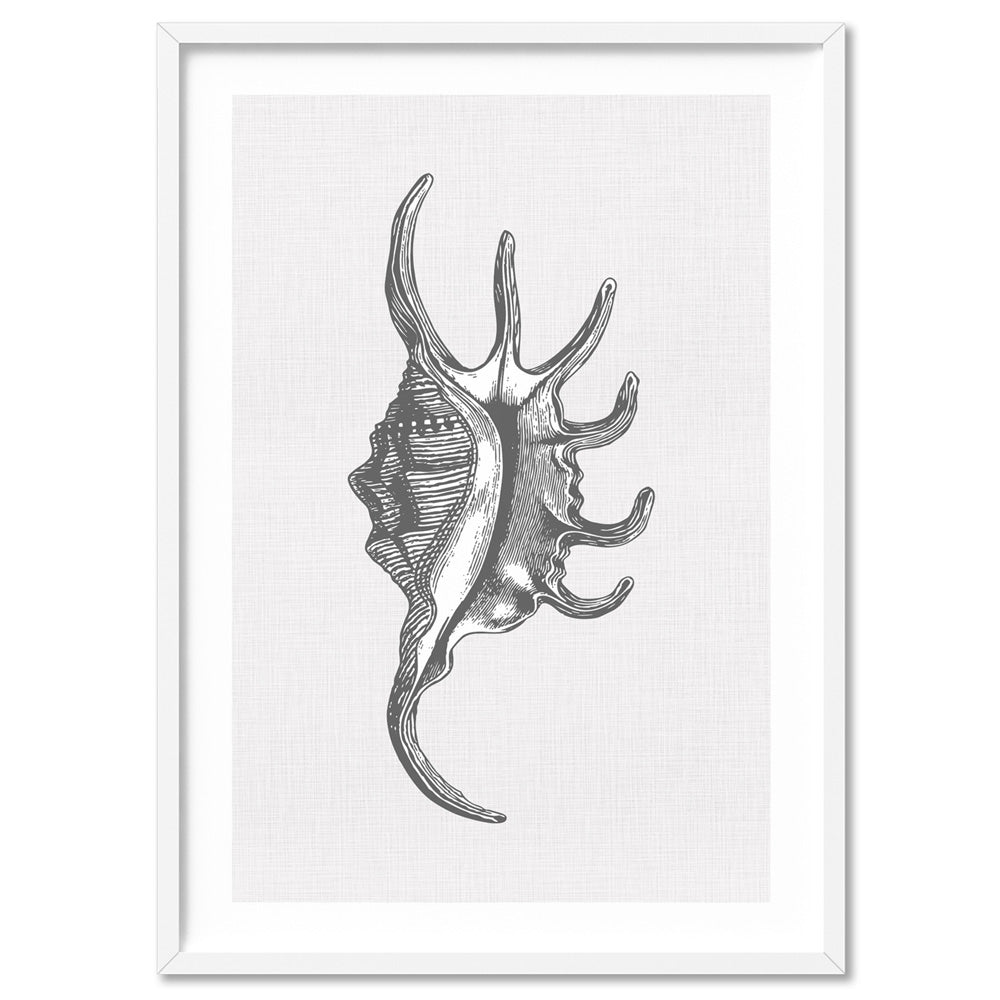 Sea Shell Illustration Print. Coastal Poster Conch Shell – Print and ...