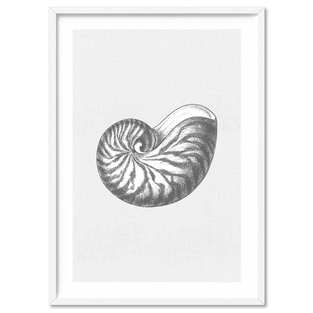 Sea Shell Poster Print. Coastal Poster. Nautilus Shell Print – Print ...