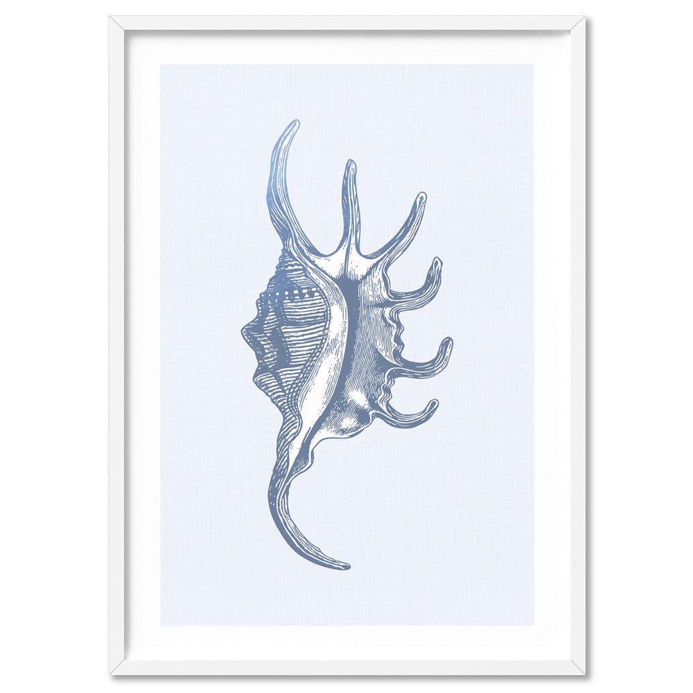 Shell Illustration Print. Coastal Poster Conch Shell Blue – Print and ...